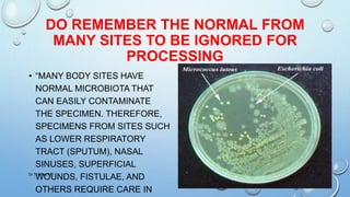 SPECIMEN MANAGEMENT IN DIAGNOSTIC MICROBIOLOGY | PPTX