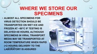 SPECIMEN MANAGEMENT IN DIAGNOSTIC MICROBIOLOGY | PPTX