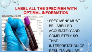 SPECIMEN MANAGEMENT IN DIAGNOSTIC MICROBIOLOGY | PPTX