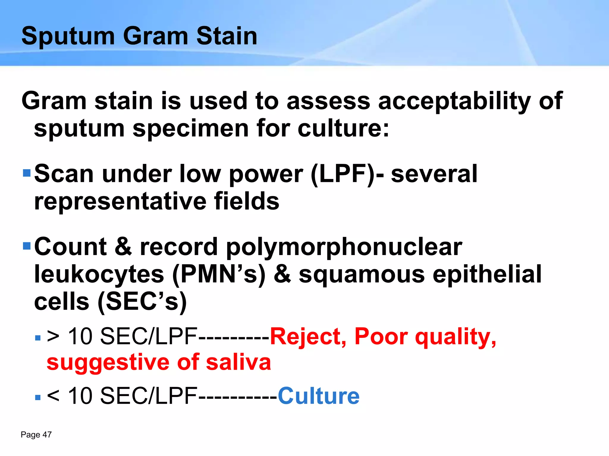 Specimen Processing.ppt