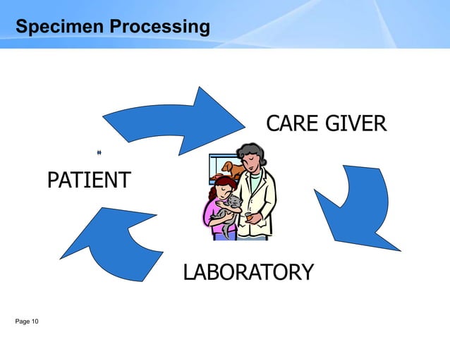 Specimen Processing.ppt