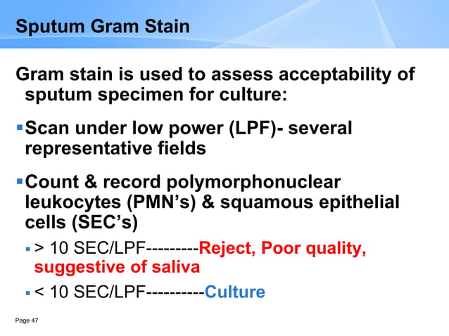 Specimen Processing.ppt