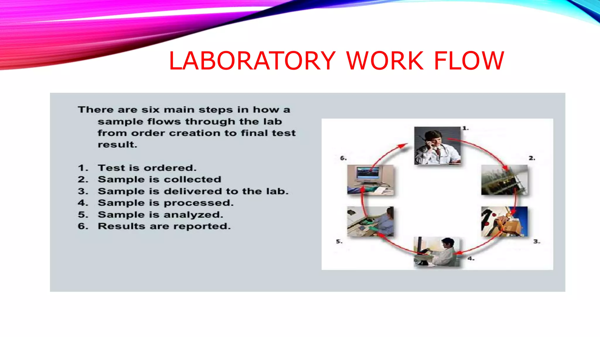 Specimen receiving | PPTX | Blood Disorders | Diseases and Conditions