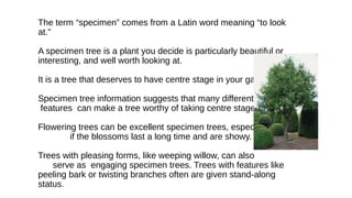 Specimen Trees | ODP
