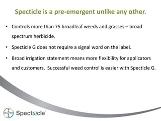 Specticle G Presentation | PPTX