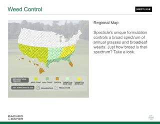 Specticle Presentation | PPT