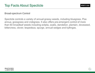 Specticle Presentation | PPT