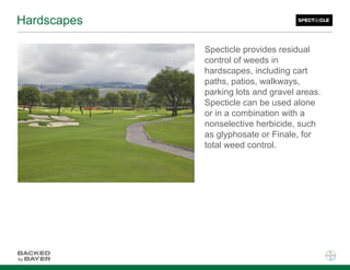 Specticle Presentation | PPT