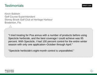 Specticle Presentation | PPT