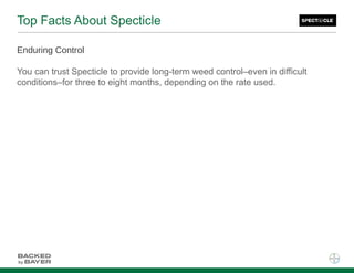 Specticle Presentation | PPT