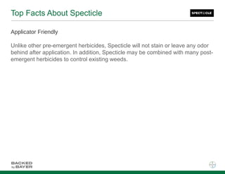 Specticle Presentation | PPT