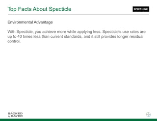 Specticle Presentation | PPT