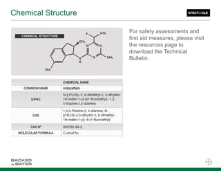 Specticle Presentation | PPT