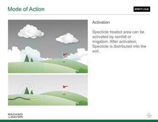 Specticle Presentation | PPT