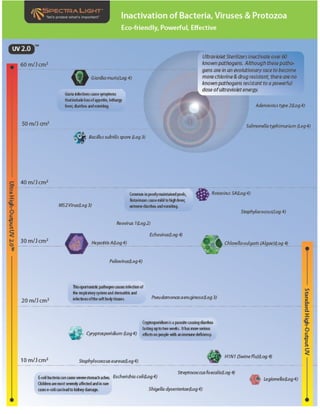 Spectra Light UV Brochure | PDF