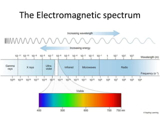 Spectral instruments | PPT