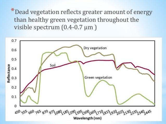 Spectral reflectance curve of dead stressed vegetation