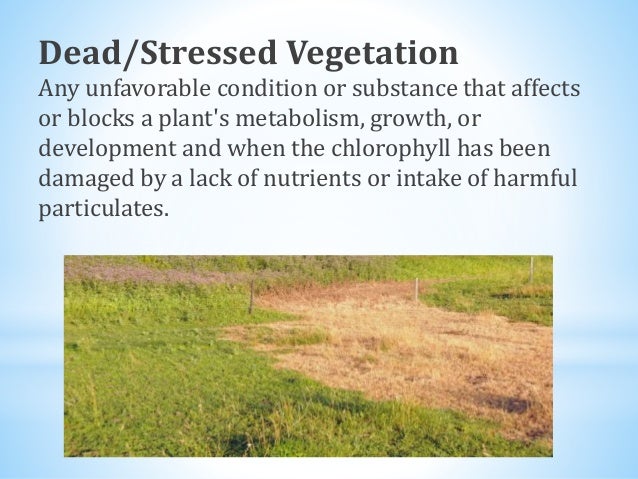 Spectral reflectance curve of dead stressed vegetation