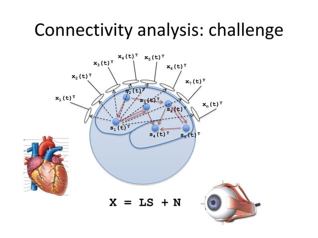 Spectral Source Connectivity And Network Analysis Of Eeg And Meg Data Pptx Computer