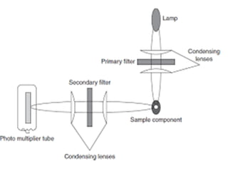 SPECTROFLUORIMETRY.pdf | Chemistry | Science