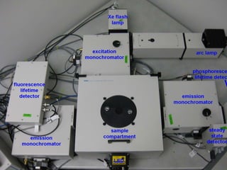 Spectrofluorometry.ppt