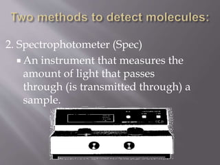 Spectrometer | PPT