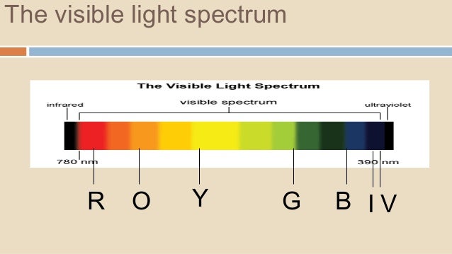 Spectrophotometer