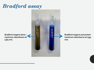 Spectrophotometric methods for determoination of Proteins | PDF