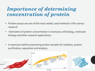 Spectrophotometric methods for determoination of Proteins | PDF