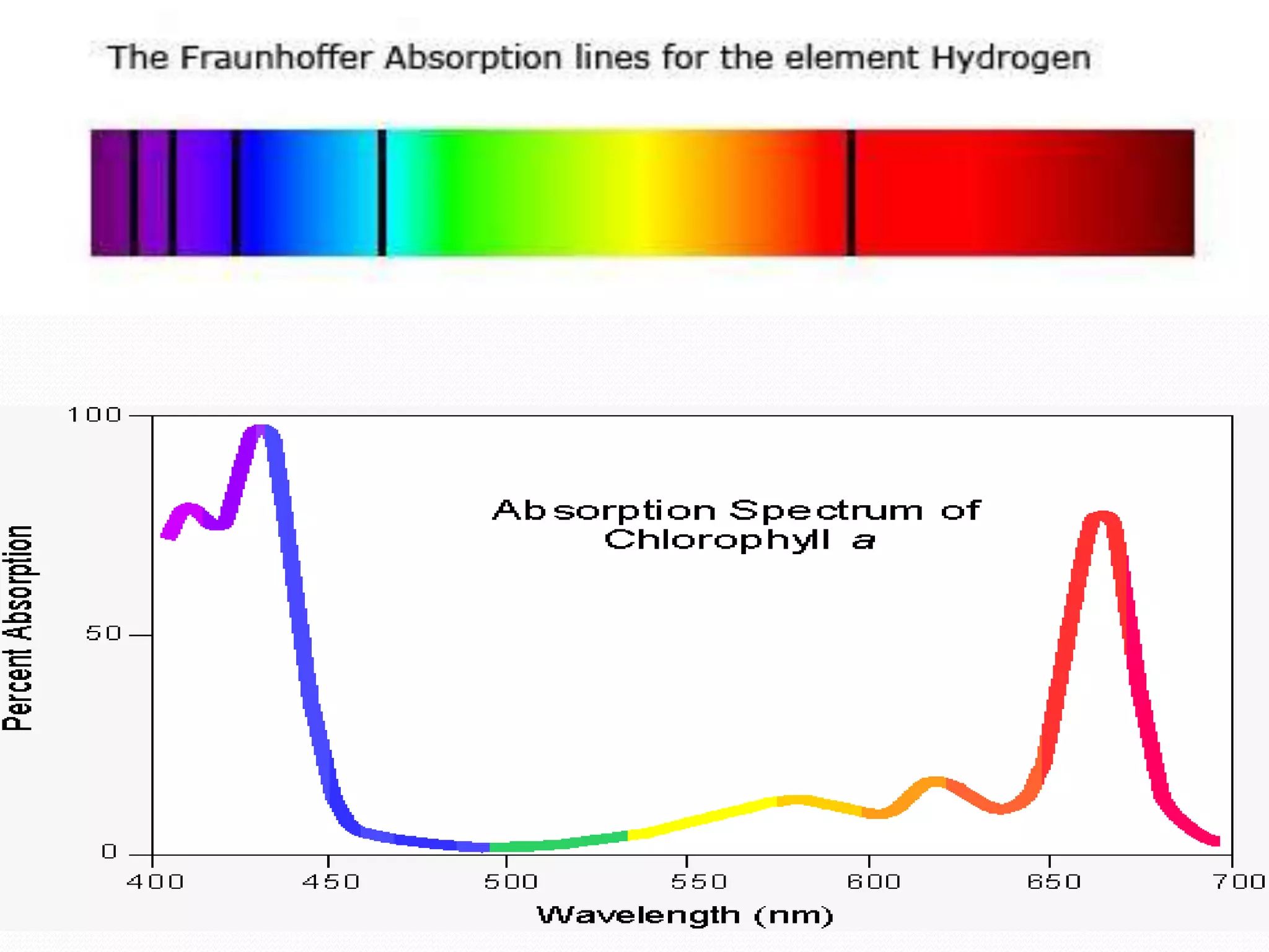 Spectrophotometry | PPTX