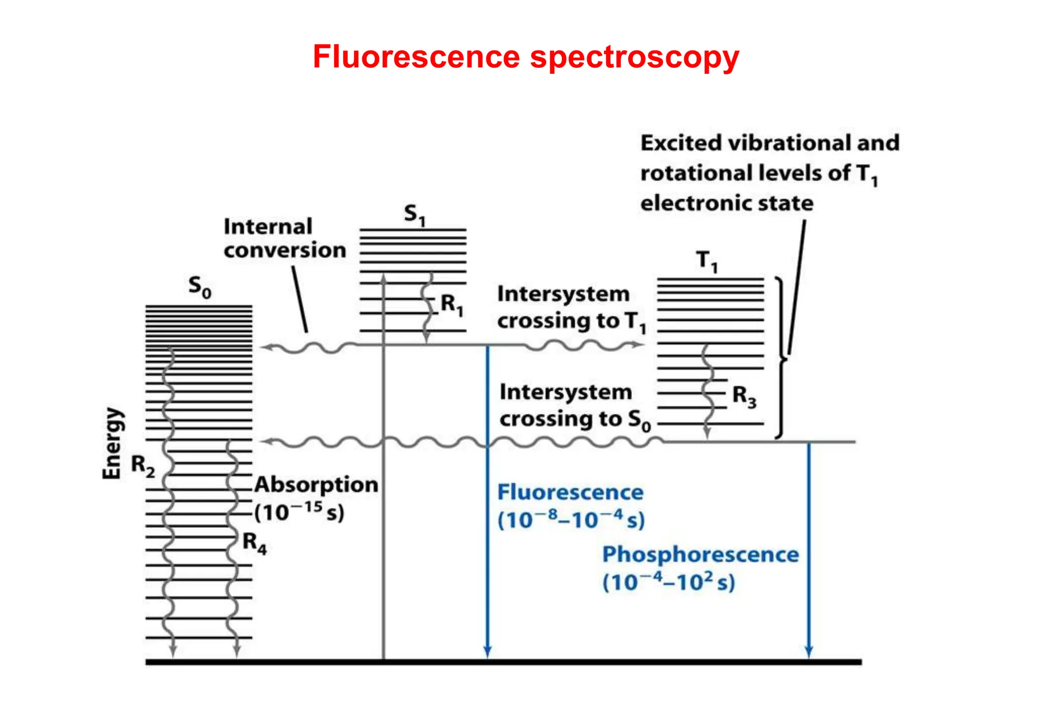 Spectrophotometry methods for molecule analysis | PPT