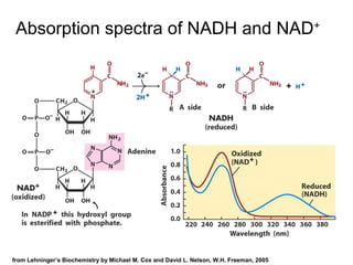 Spectrophotometry lecture | PPT