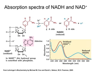 Spectrophotometry Lecture | PPT