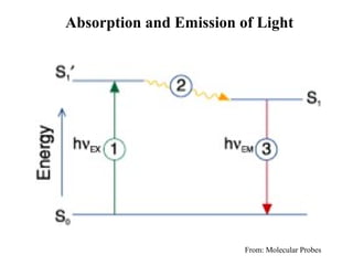 Spectrophotometry Lecture | PPT