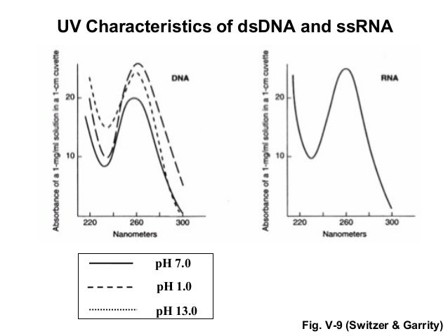 Spectrophotometry Lecture