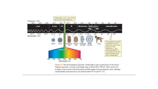 Introduction to spectroscopy basics.pptx