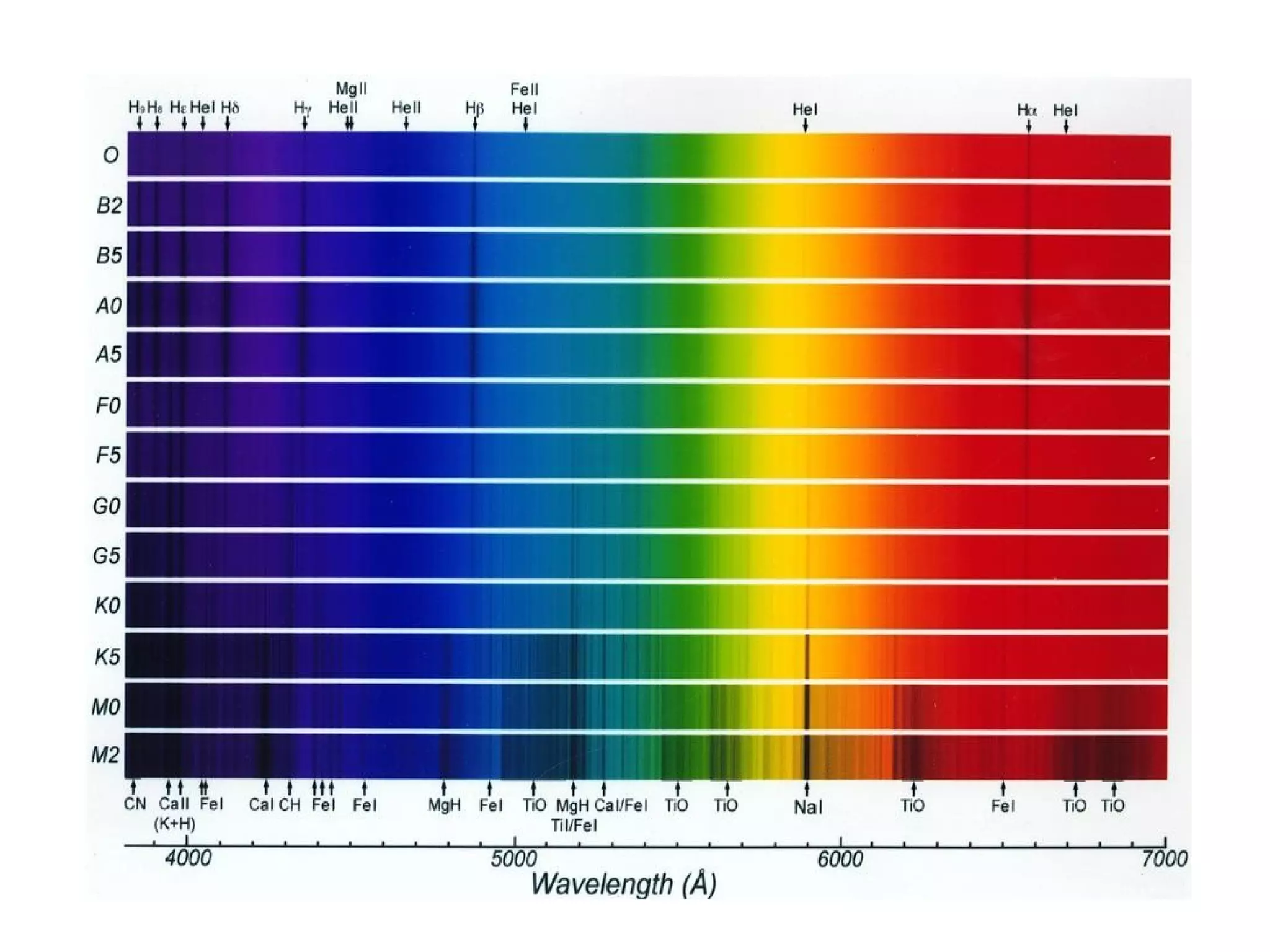 Spectrum Chart | PPT