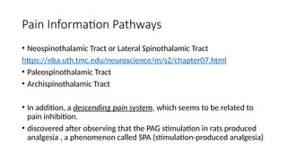 spectrum of neurosurgery in management of craniofacial and spinal pain.pptx