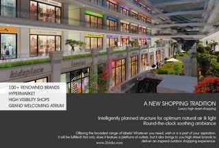 Blue Spectrum Metro Brochure - Zricks.com