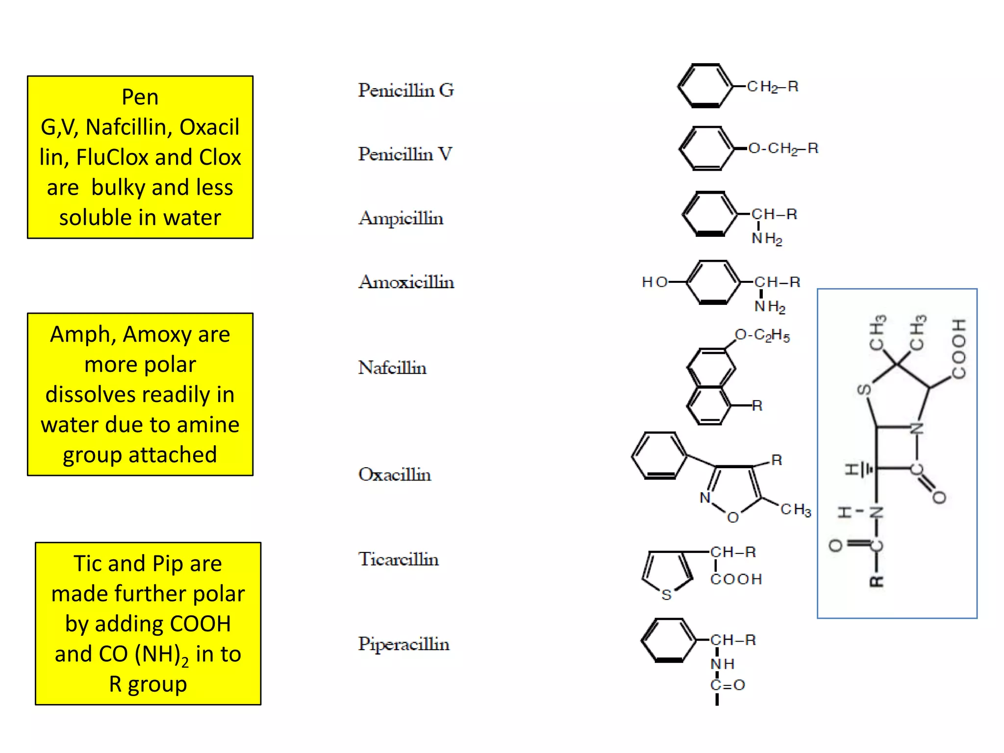 Spectrum of commonly used antibiotics | PPTX