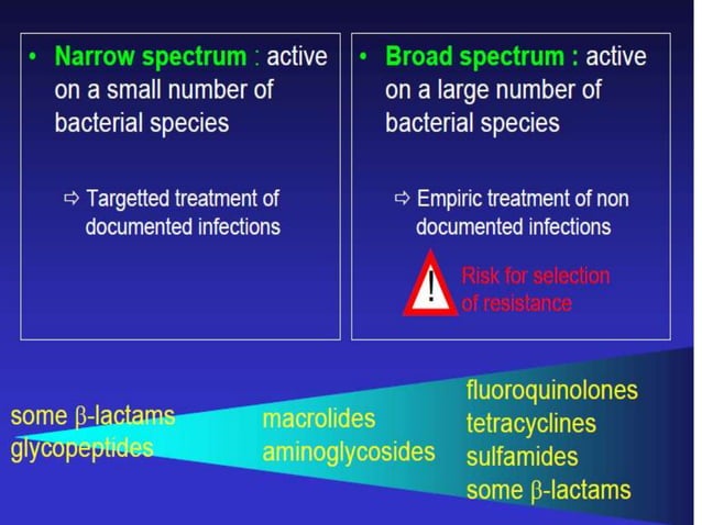 Spectrum of commonly used antibiotics | PPTX