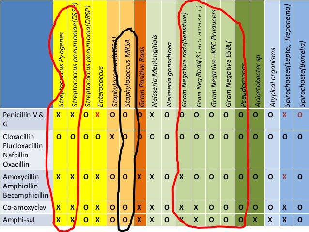 Spectrum of commonly used antibiotics
