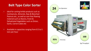 Color Sorter Presentation | PPTX