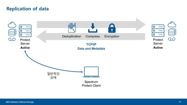 IBM Spectrum Protect Overview | PDF
