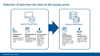 IBM Spectrum Protect Overview | PDF