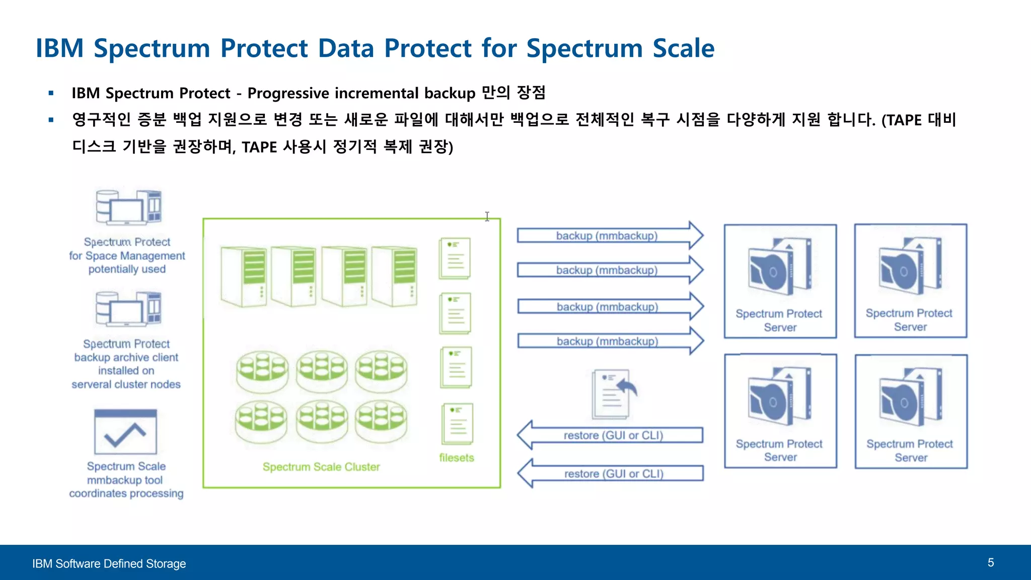 IBM Spectrum Protect for Spectrum Scale (GPFS) | PDF
