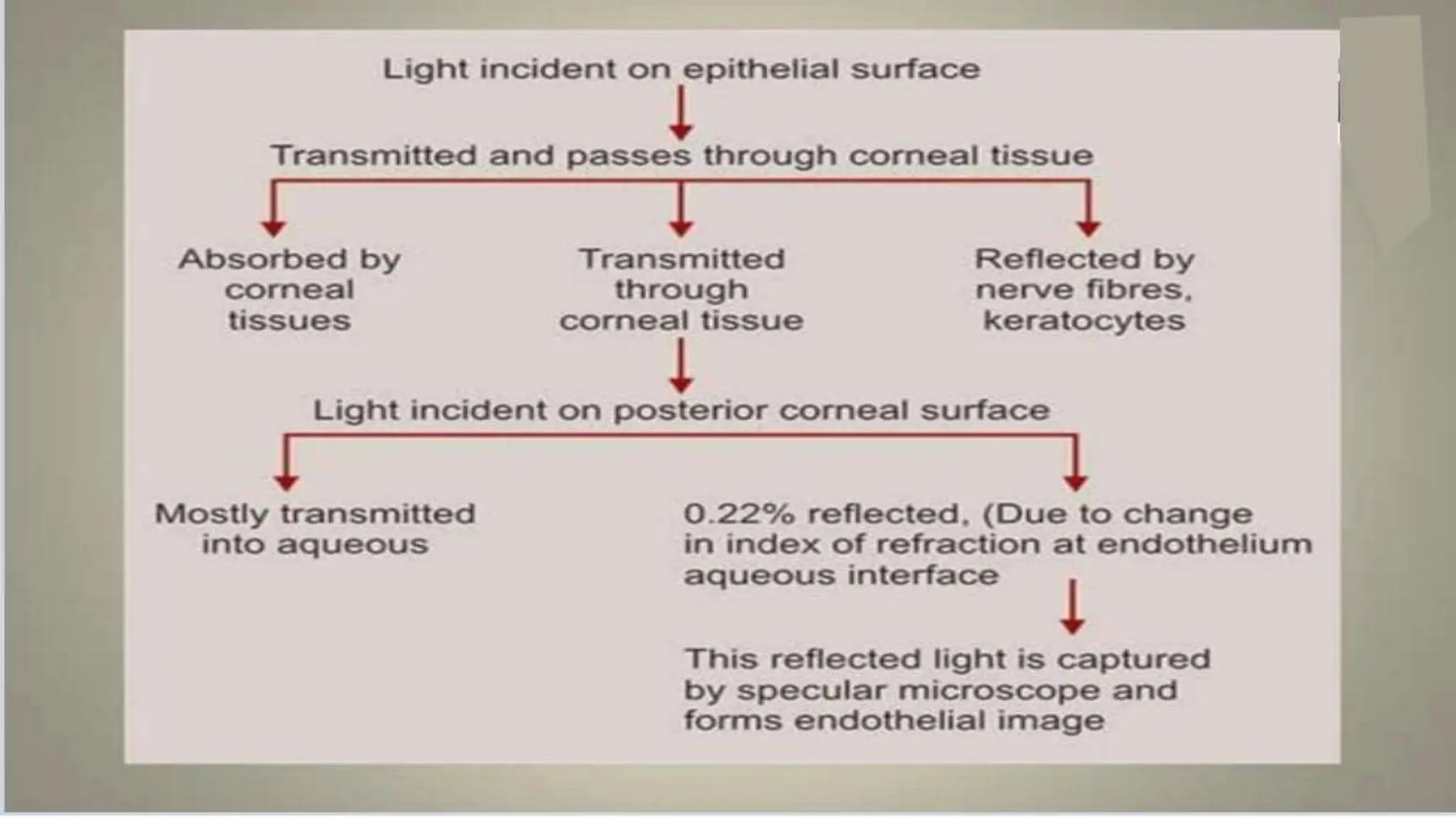SPECULAR AND CONFOCAL MICROSCOPY IN EYE.pptx