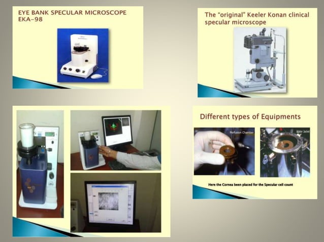 Specular microscopy | PPTX