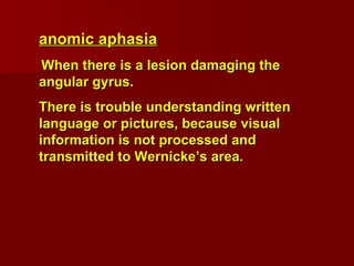 Speech | PPT