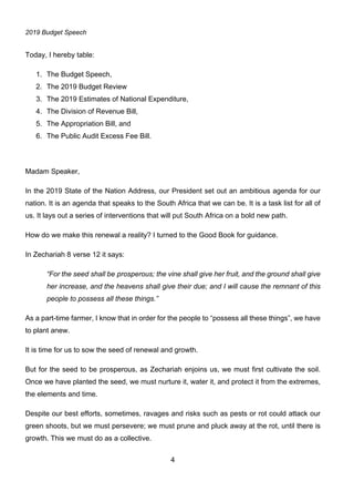 South Africa's 2019 Budget speech | PDF | Business Accounting & Finance | Business